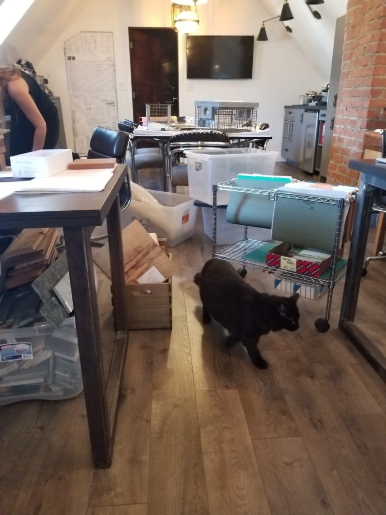 Hayne Architects | The Great OFFICE PURGE! Material samples beware…